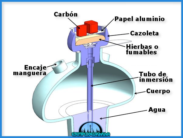 ¿Cómo funciona una cachimba? | El Templo de la Shisha